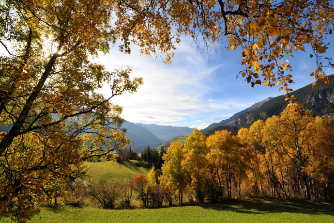 Home | Parc Ela - Naturpark Schweiz