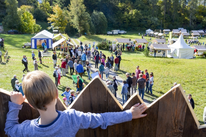 Home | Parc Ela - Naturpark Schweiz